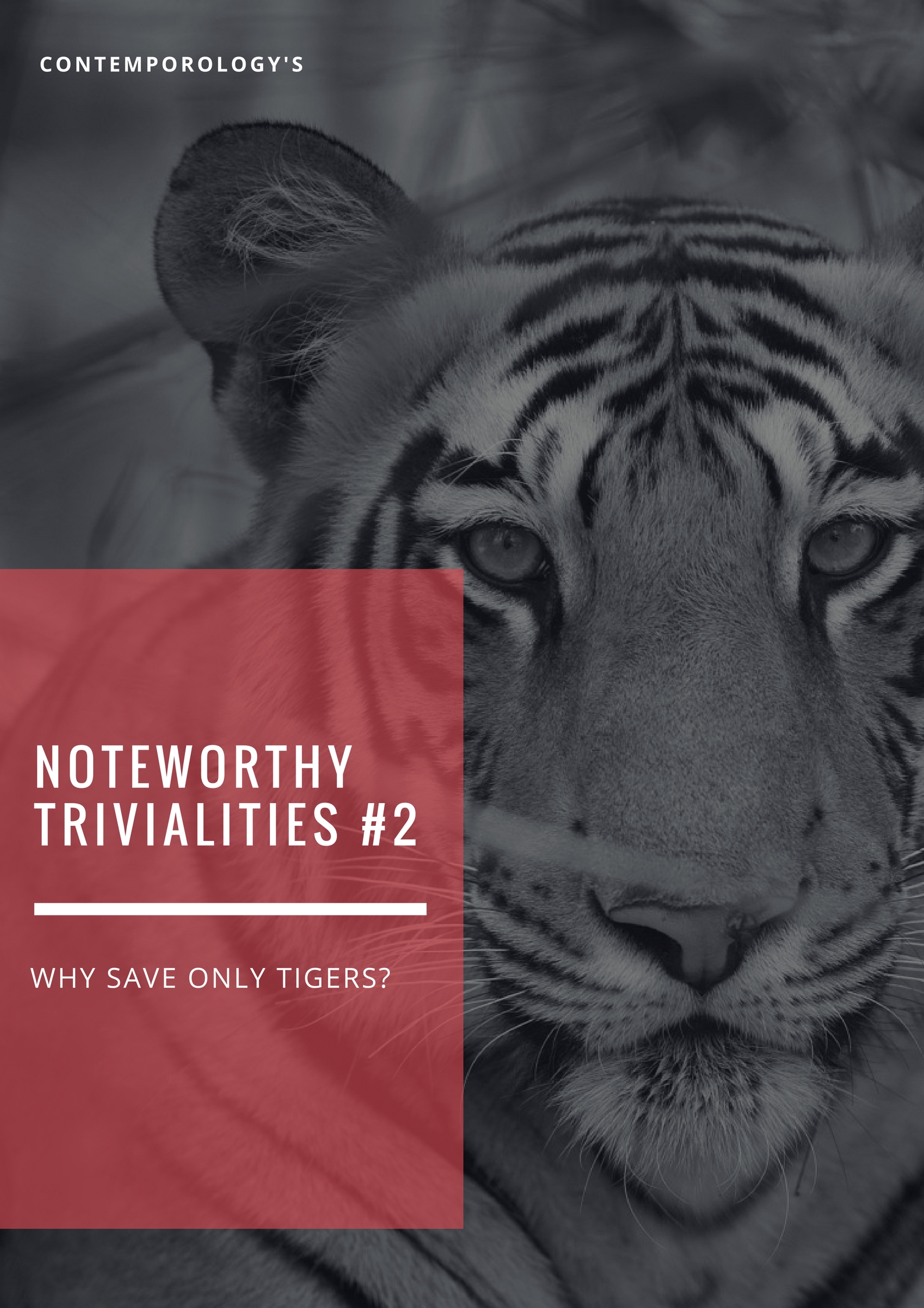 Noteworthy Trivialities #2 – Contemporology